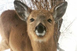 tehk – Explore Manitoulin